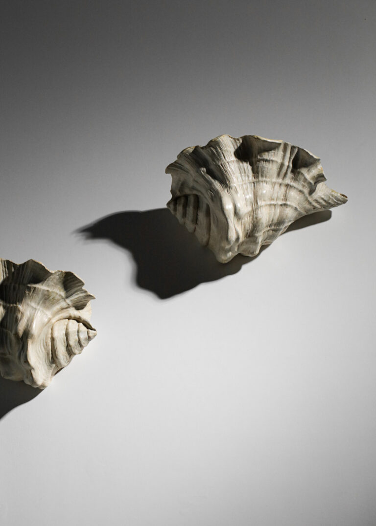 large pair of plaster shells appliques from the 30's Serge Roche style ...